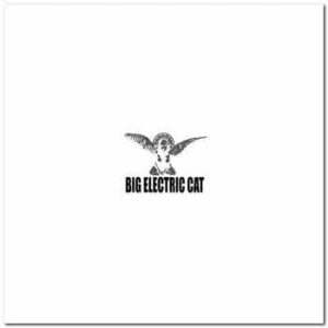 Big Electric Cat Band Vinyl Decal Sticker - NiceDecal