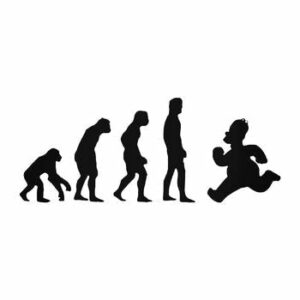 Evolution Of Homer Simpson The Simpsons Vinyl Decal Sticker - NiceDecal