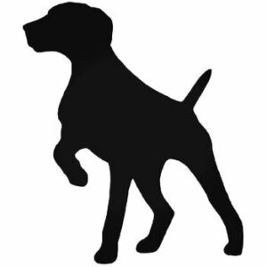 German Shorthaired Pointer Dog 1 Vinyl Decal Sticker - NiceDecal