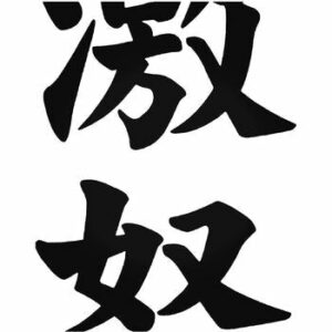 Japanese Kanji Character Fury Gekido Vinyl Decal Sticker - NiceDecal
