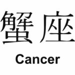 Japanese Kanji s Kanji Symbol For Cancer Vinyl Decal Sticker - NiceDecal