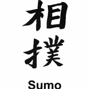 Japanese Kanji s Kanji Symbol For Sumo Vinyl Decal Sticker - NiceDecal