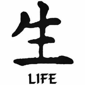 Life Kanji Symbol Vinyl Decal Sticker - NiceDecal