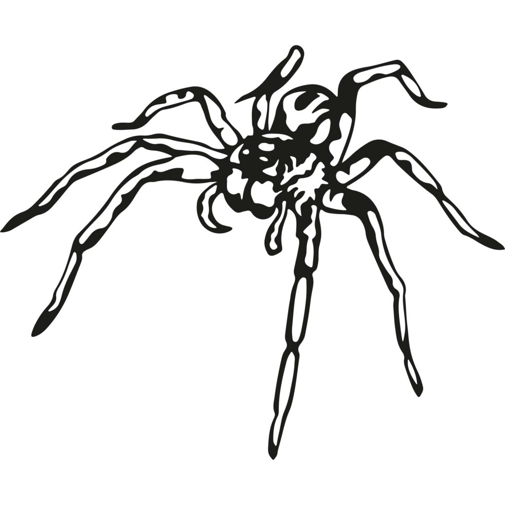 Tarantula Spider S 02 Vinyl Decal Sticker - NiceDecal